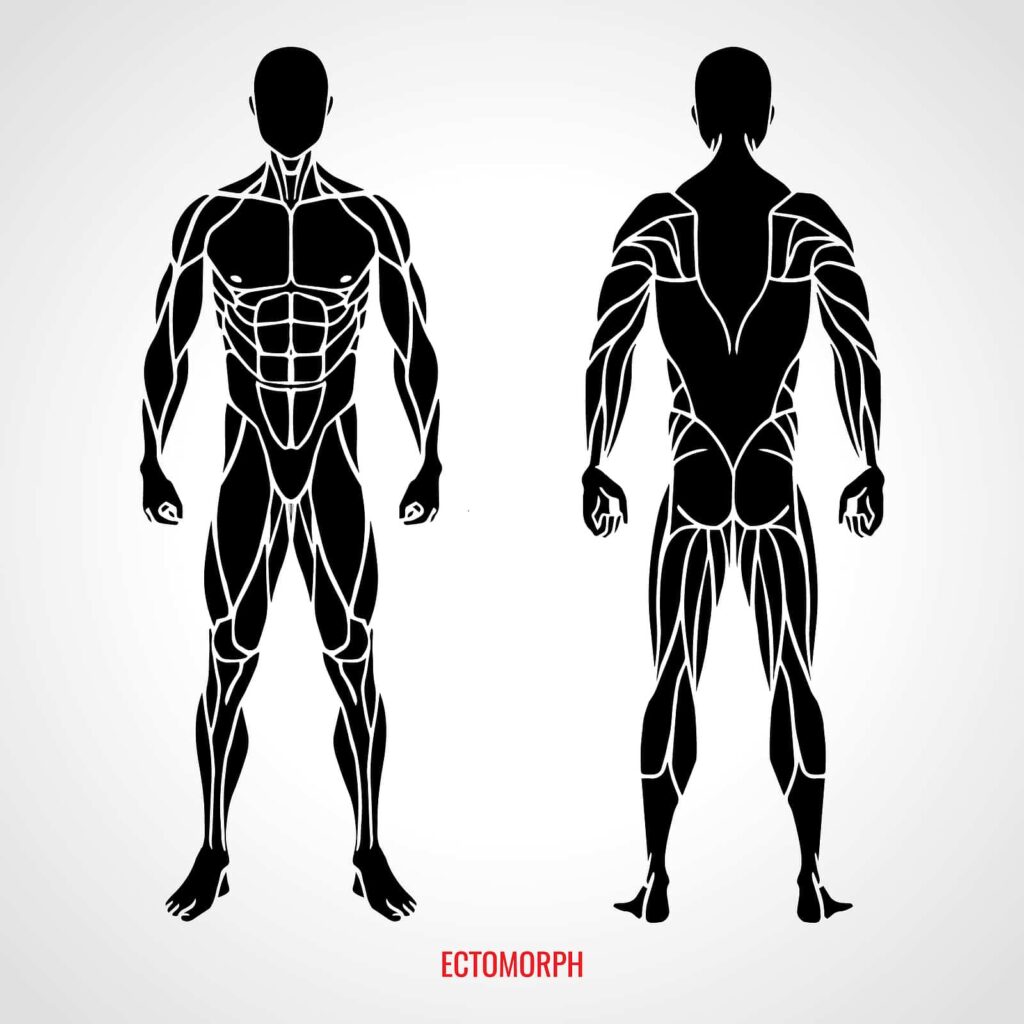 How to Eat & Workout for an Ectomorph Body Type? | Ezfit Singapore