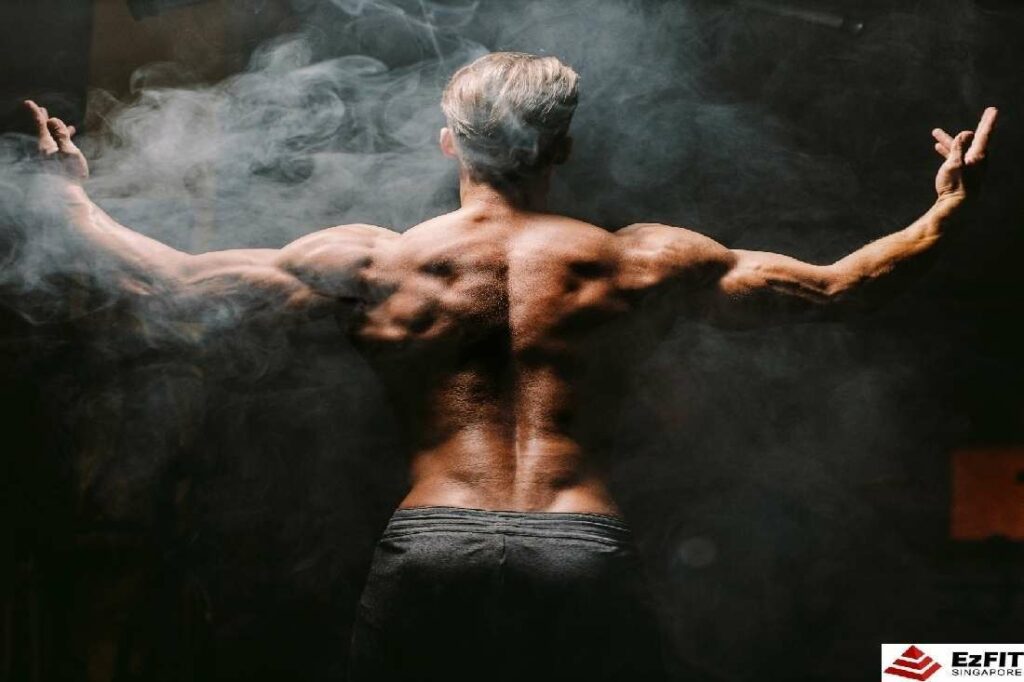 The Science of Building Muscle: Tips and Strategies